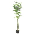 GDF Studio Coles Artificial Money Tree, 5' x 2.5' - Walmart.com