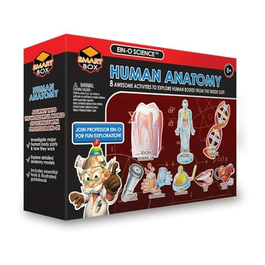 SmartLab QPG Lab for Kids, Squishy Human Body, Grade 3-8 - Walmart.com