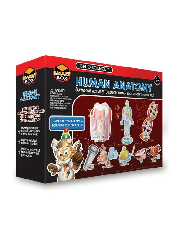 Anatomy Toys for Kids in STEM Toys & Games - Walmart.com