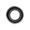 QuickFitting Push-to-Connect Stainless Steel Straight Coupling - Single ...