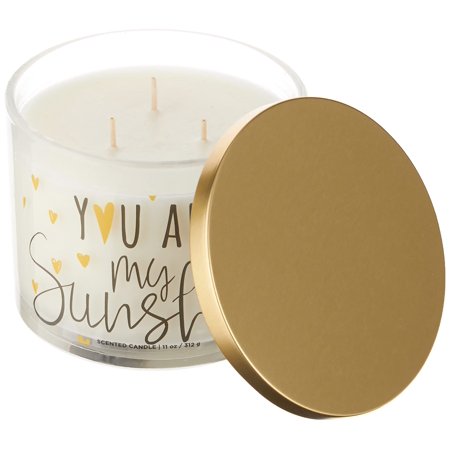 Chesapeake Bay Candle PT42018 Candle, Sentiments, Relax + Restore, 30 ...