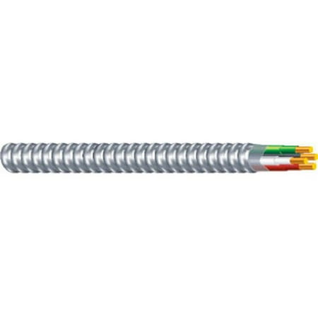 AFC Cable Systems 1405N22-AFC 25 ft. ACT Armored Cable System ...