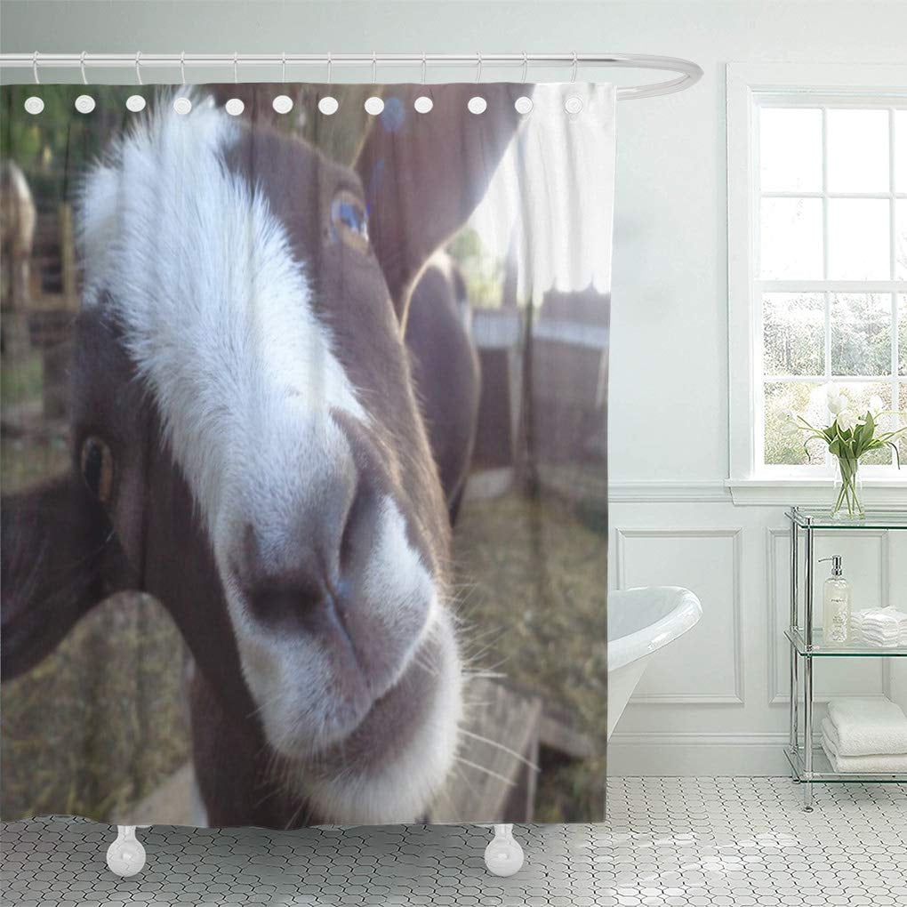 ATABIE Wall Goat Barnyard Farm Kids Nature Shower Curtain 66x72 inch ...