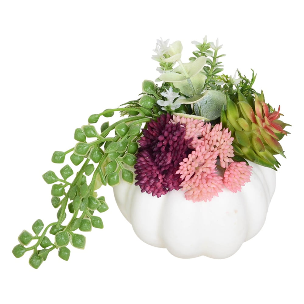 Thanksgiving Decorations Pumpkin with Artificial Succulents,3"White ...