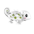 Hxlamzoo Kids Toys Kids Inductive Chameleons Changeable Colors with ...