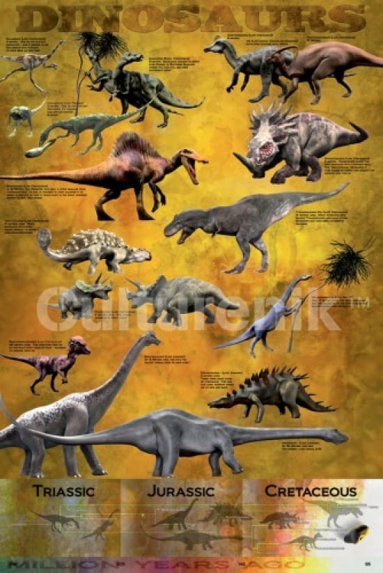 Dinosaur Chart Poster (36 X 24) - Walmart.com