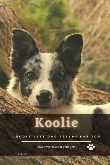 Does The Koolie Bark