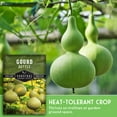 Bottle Gourd Seed - Birdhouse or Calabash Gourds - Non-GMO Heirloom ...