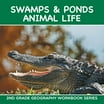 Animal Groups (Mammals, Reptiles, Amphibians & More): Jumbo Science ...