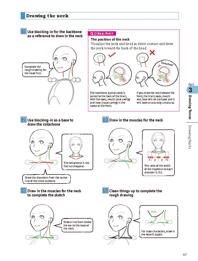 How To Draw Anime Neck And Shoulders