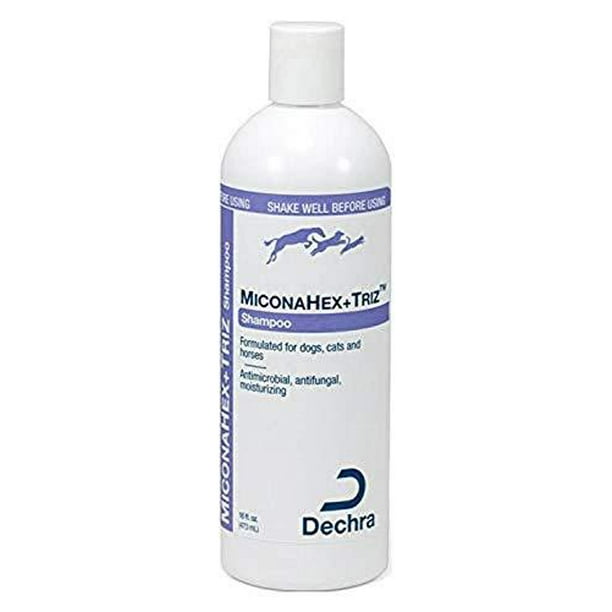 dechra miconahex + triz shampoo for dogs, cats & horses (8oz) - Walmart.com