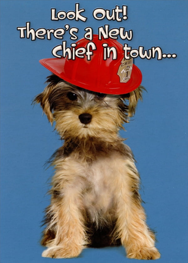 Designer Greetings Fire Chief Puppy New Dog Congratulations Card ...