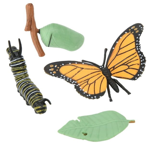 Butterfly Model,Insect Model Toy Growth Insect Toy Simulation Insects ...