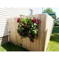 Emsco Group 2491-1 Wall Flowers Pickers Garden System, 17" x 17" Panel ...