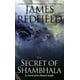 The Secret of Shambhala : In Search of the Eleventh Insight (Paperback) - Walmart.com