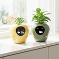Smart AI Flower Pot with Time-Temperature Display and Expressive ...