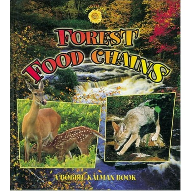 Forest Food Web
