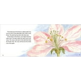 How Do Apples Grow? (Paperback) - Walmart.com