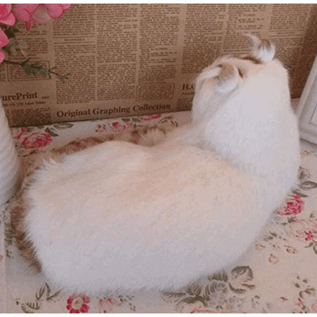 Simulation Plush Kitten,Cute Pet Toy Model,Realistic Cat Model,Life ...