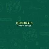 POLAND SPRING 100% Natural Spring Water, 8-ounce Mini Bottles - Pack of ...