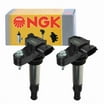 2 pc NGK 48979 Ignition Coils for 178-8521 2505-335224 36-8197 673-6202 ...
