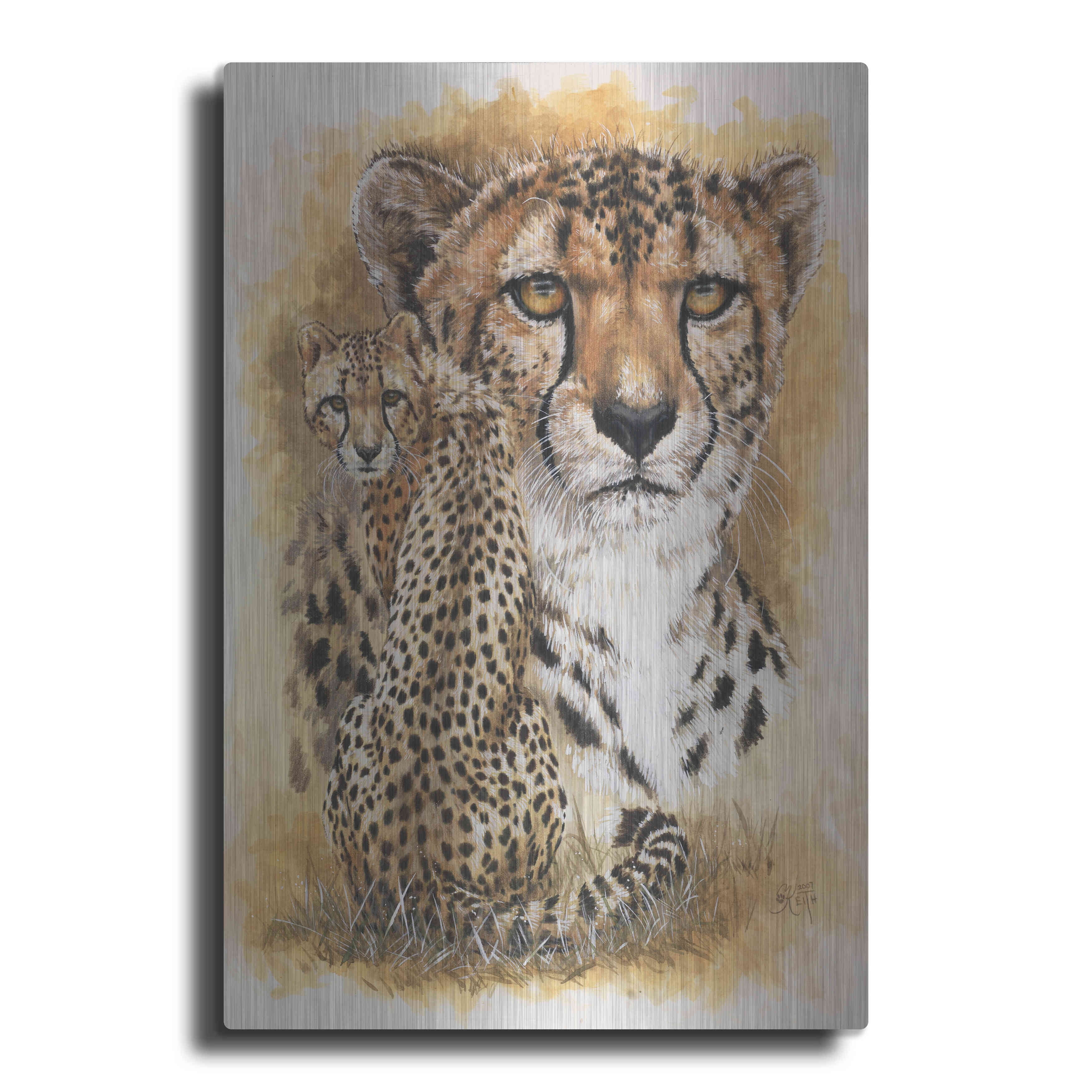 Luxe Metal Art 'Nimble' by Barbara Keith, Metal Wall Art, 12"x16 ...