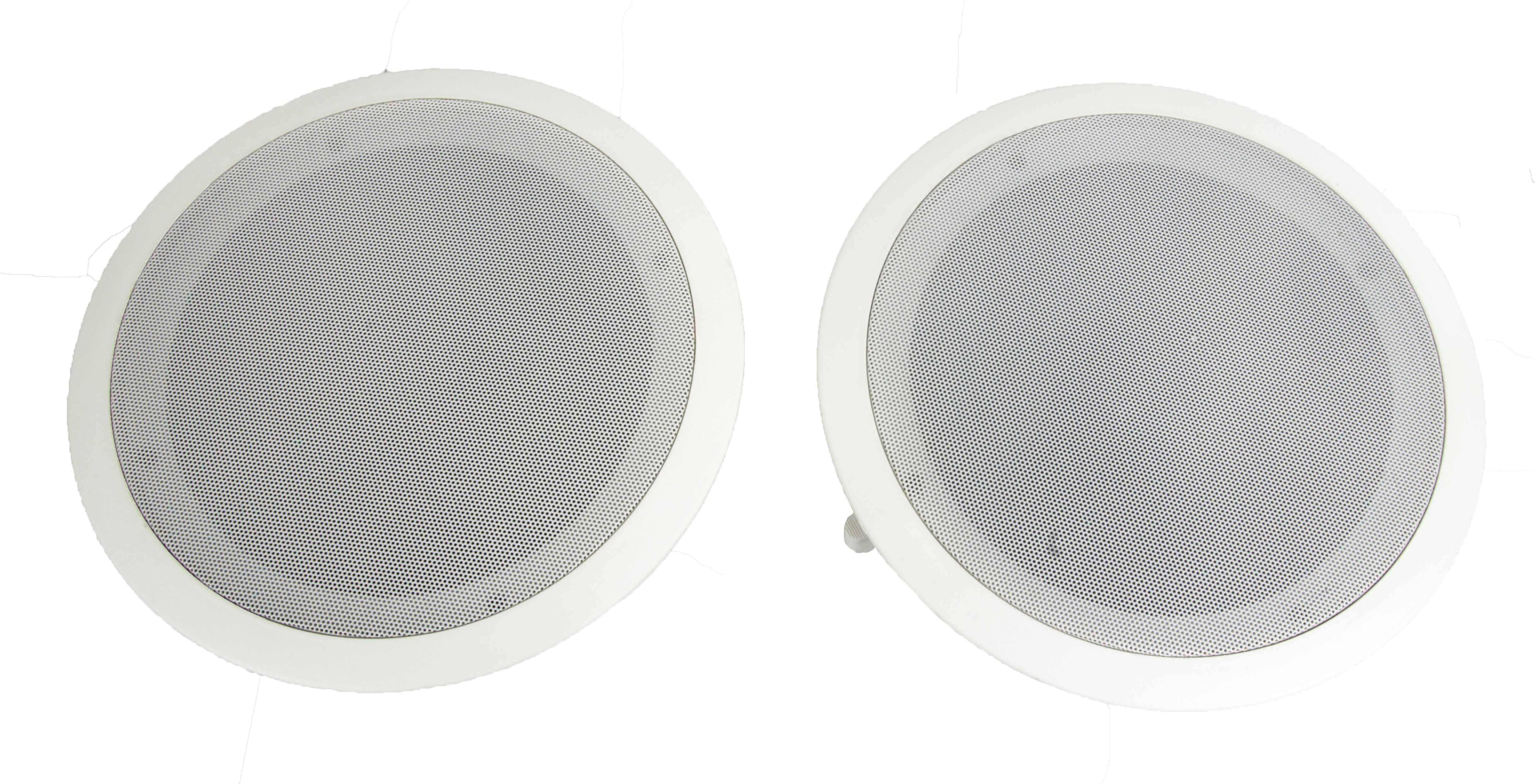 Suspended Ceiling Speaker System | Shelly Lighting