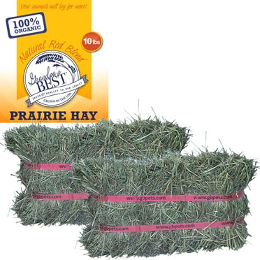 Small Pet Select 2nd Cutting Timothy Hay Pet Food, 12-Pound - Walmart.com