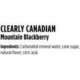 Clearly Canadian Sparkling Water Mountain Blackberry, 11 oz. - Walmart.com