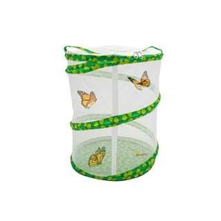 Monarch Butterfly Garden Kit - Raise Monarch Butterflies - Walmart.com