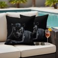 Black Leopard Outdoor Waterproof Throw Pillow Covers 18x18 Set of 2 ...
