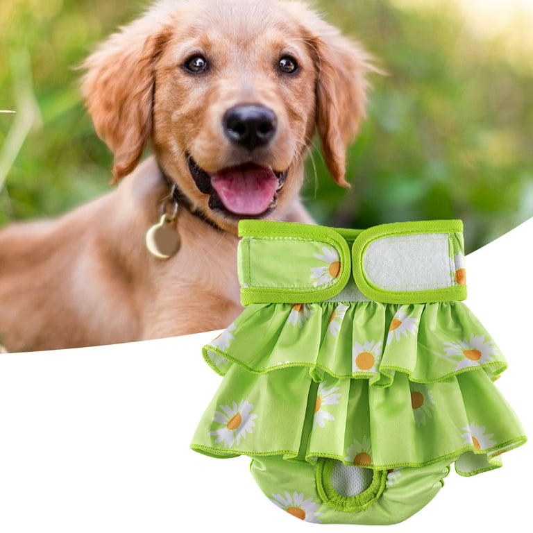 Anti Pooch Underwear Washable Female Dog Diapers, Reusable Doggy ...