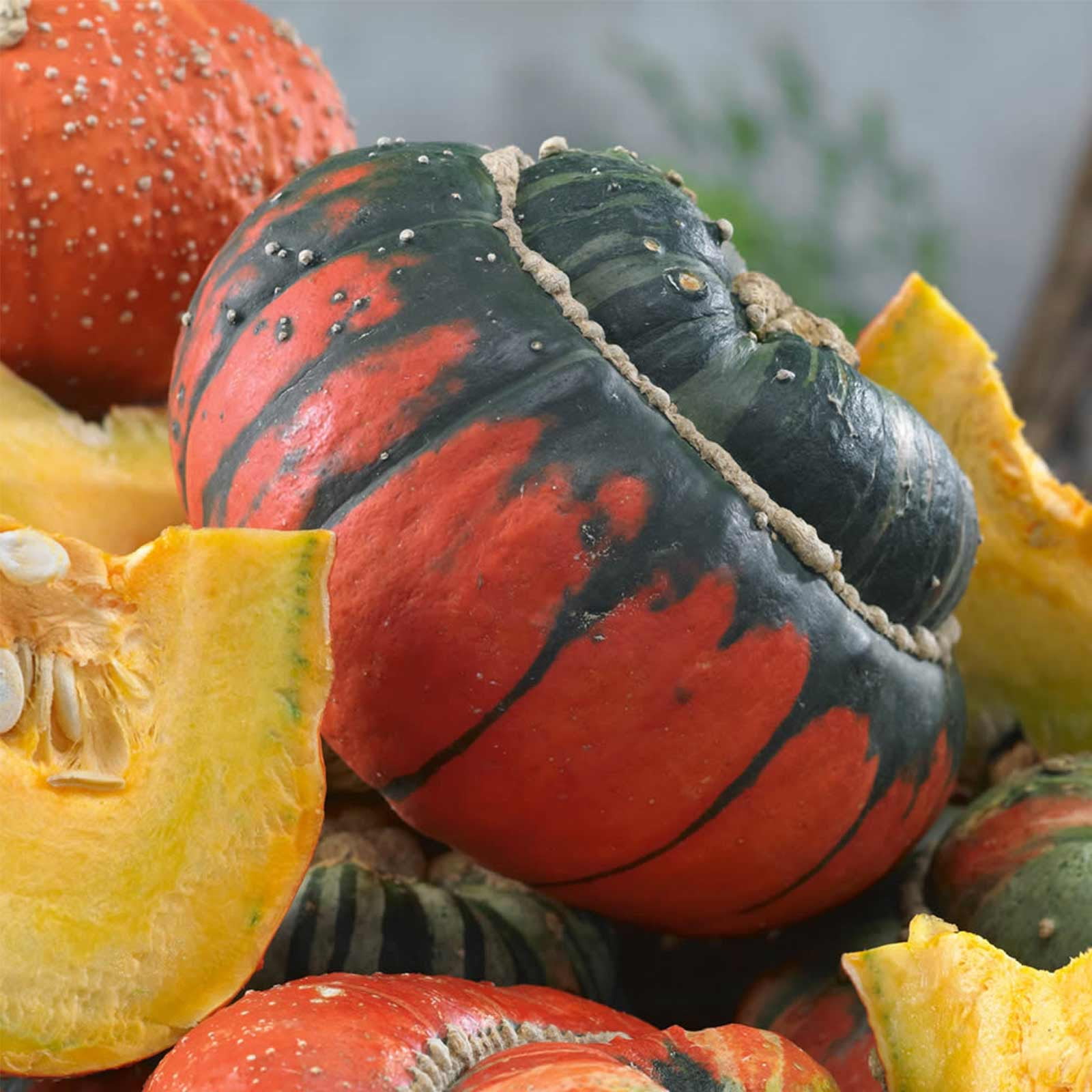 Turks Turban Gourd Garden Seeds - 1 Oz - Non-GMO, Heirloom Vegetable ...