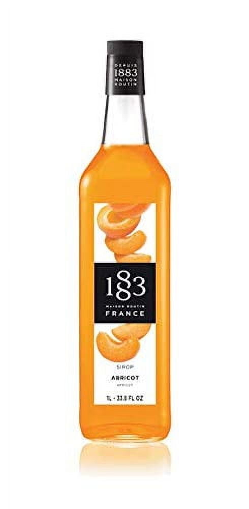 1883 Blueberry Syrup 1883 Maison Routin French Syrup Pump, 0.25 Oz ...