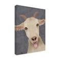 Fab Funky 'Funny Farm Goat 2' Canvas Art - Walmart.com