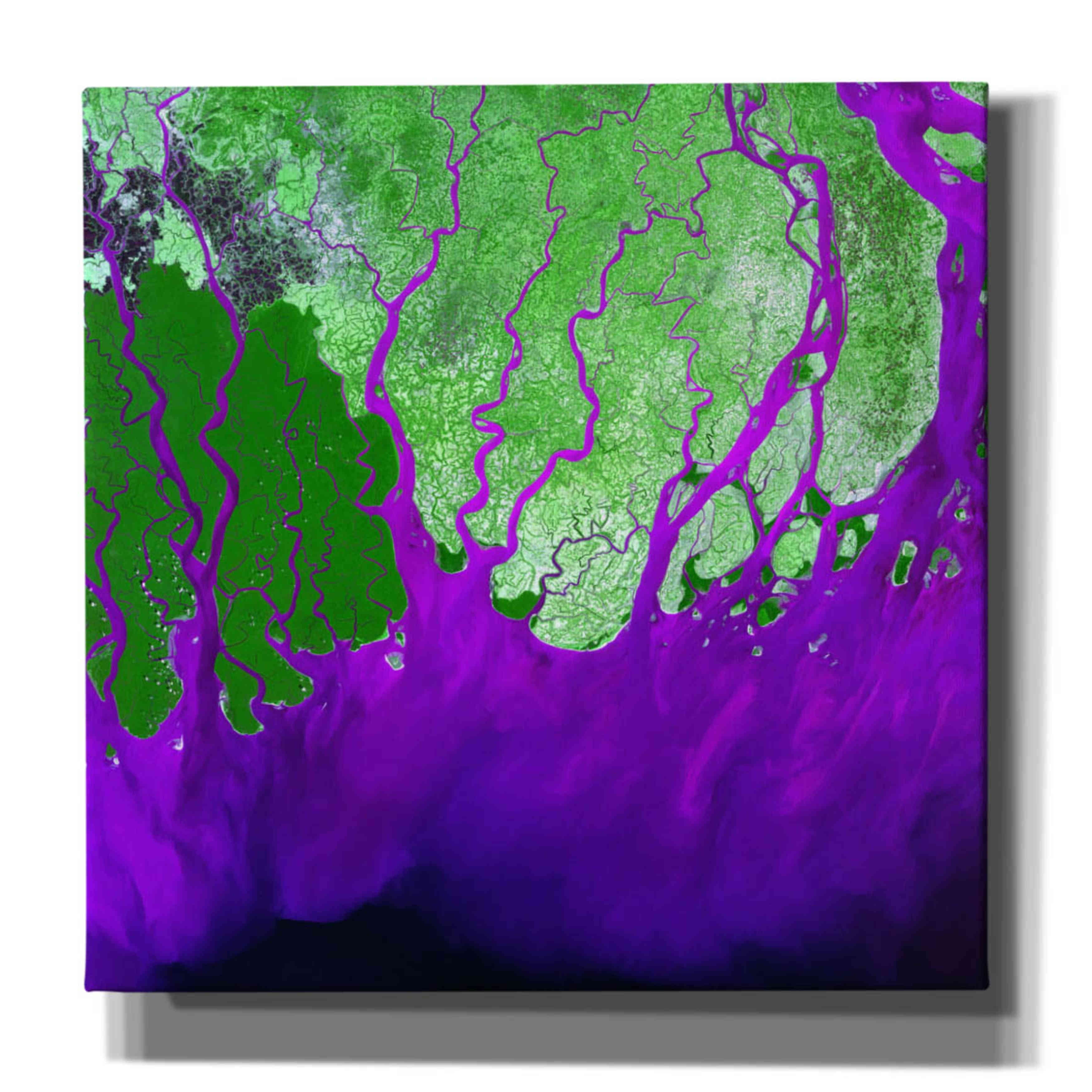Epic Graffiti 'Earth as Art: Ganges RIver Delta' Canvas Wall Art, 37 ...