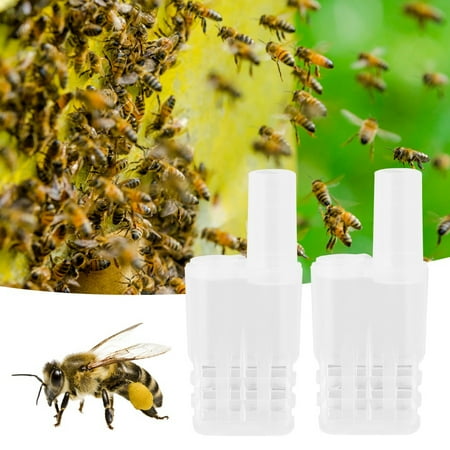 Lightweight Plastic Escape-proof Bee Queen Cages, Bee Queen Cages ...