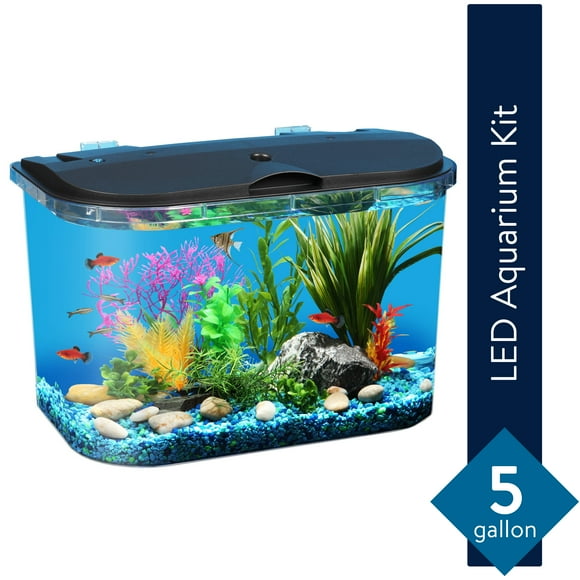 5 Gallon Betta Fish Tank