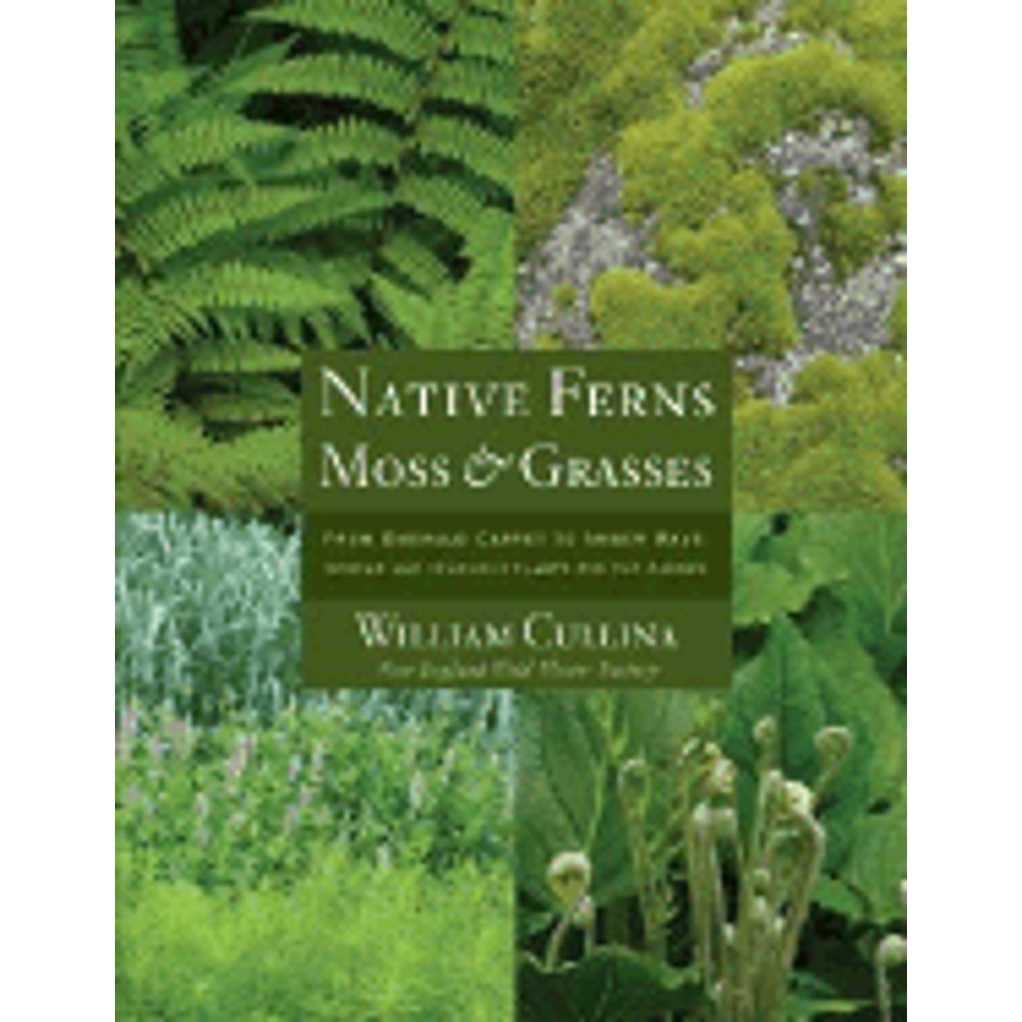 Native Ferns, Moss & Grasses : From Emerald Carpet to Amber Wave ...
