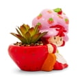 Strawberry Shortcake 4-Inch Ceramic Mini Planter With Artificial ...