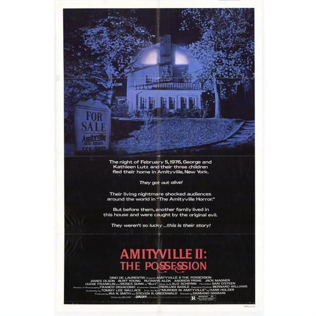 Posterazzi Amityville 2-The Possession Movie Poster - 27 x 40 in ...