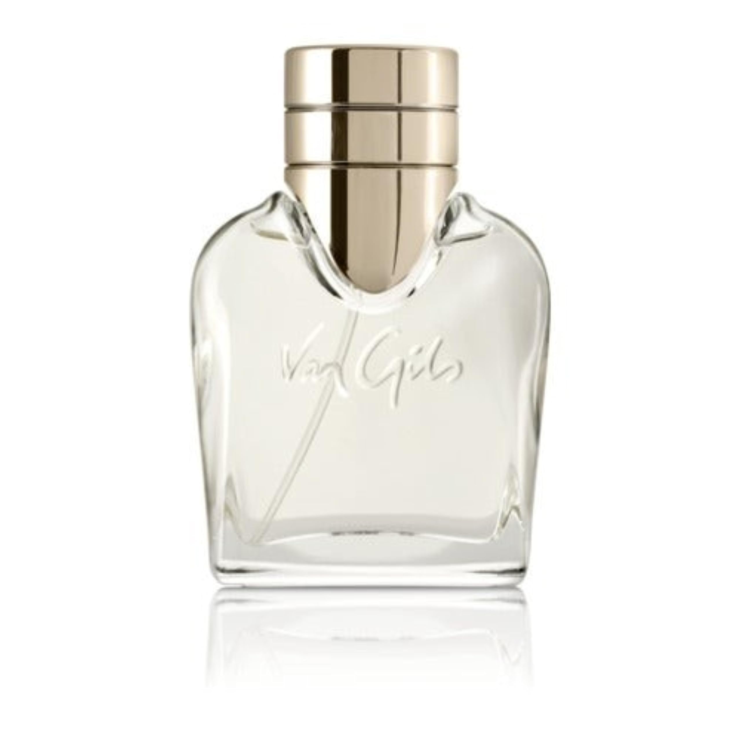 Perfume Van Gils Basic Instinct EDT en aerosol, 40 ml, para hombre ...