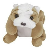 "Ty Beanie Baby Wrinkles the Bulldog, MWMT, Mint Condition, 6 ...