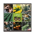 Soil Activator for Plants- Professional Bone Meal Fertilizer, Anti ...