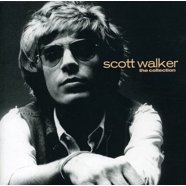 Nonpoint - Icon Series: Nonpoint (CD) - Walmart.com