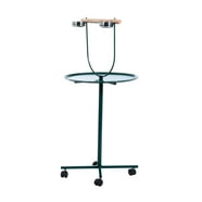 Prevue Pet Parrot Playstand, Large Coffeawood Java Tree Floor Stand ...
