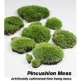 Take A Look About Moss Garden Sheets