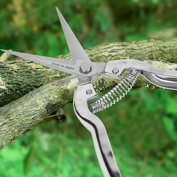 Colaxi Garden Pruning Shear Gardening Scissors Clippers Professional ...