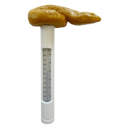Funny Pool Thermometer Floating Poop Meter for Spa Hot Tubs | Walmart ...