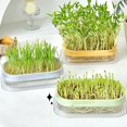 Agiufgs Seed Sprouter Tray 7.5, Dual-Layer Sprouting Design with ...